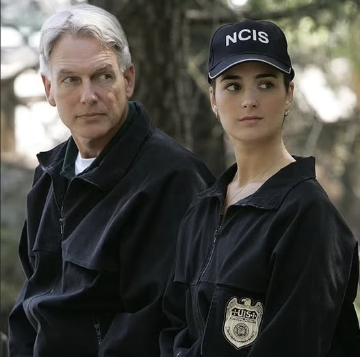 The Real Reason Mark Harmon’s Gibbs Didn’t Return On NCIS Season 21’s Ducky Episode – Mega Star Info